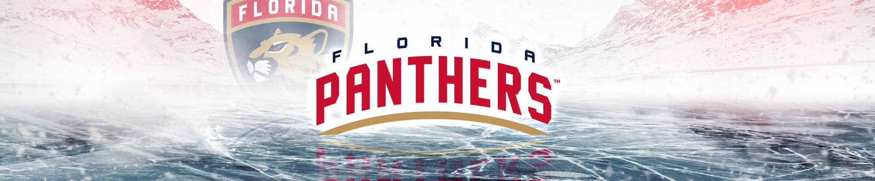 Florida Panthers Memorabilia. Panthers Collectibles