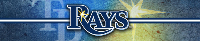 Tampa Bay Rays Memorabilia & Collectibles – The Highland Mint